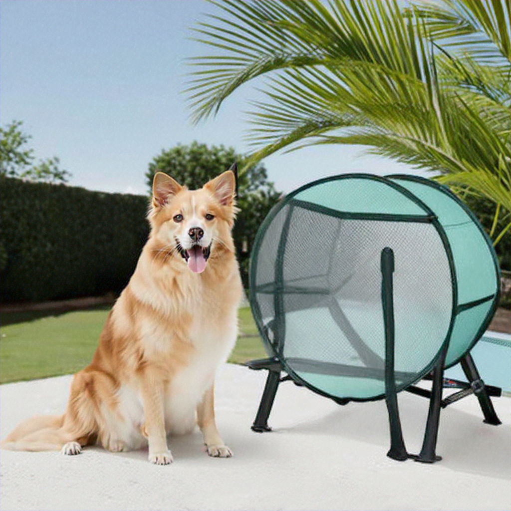 Summer Heat and Your Pets: Keeping Them Cool Guide
