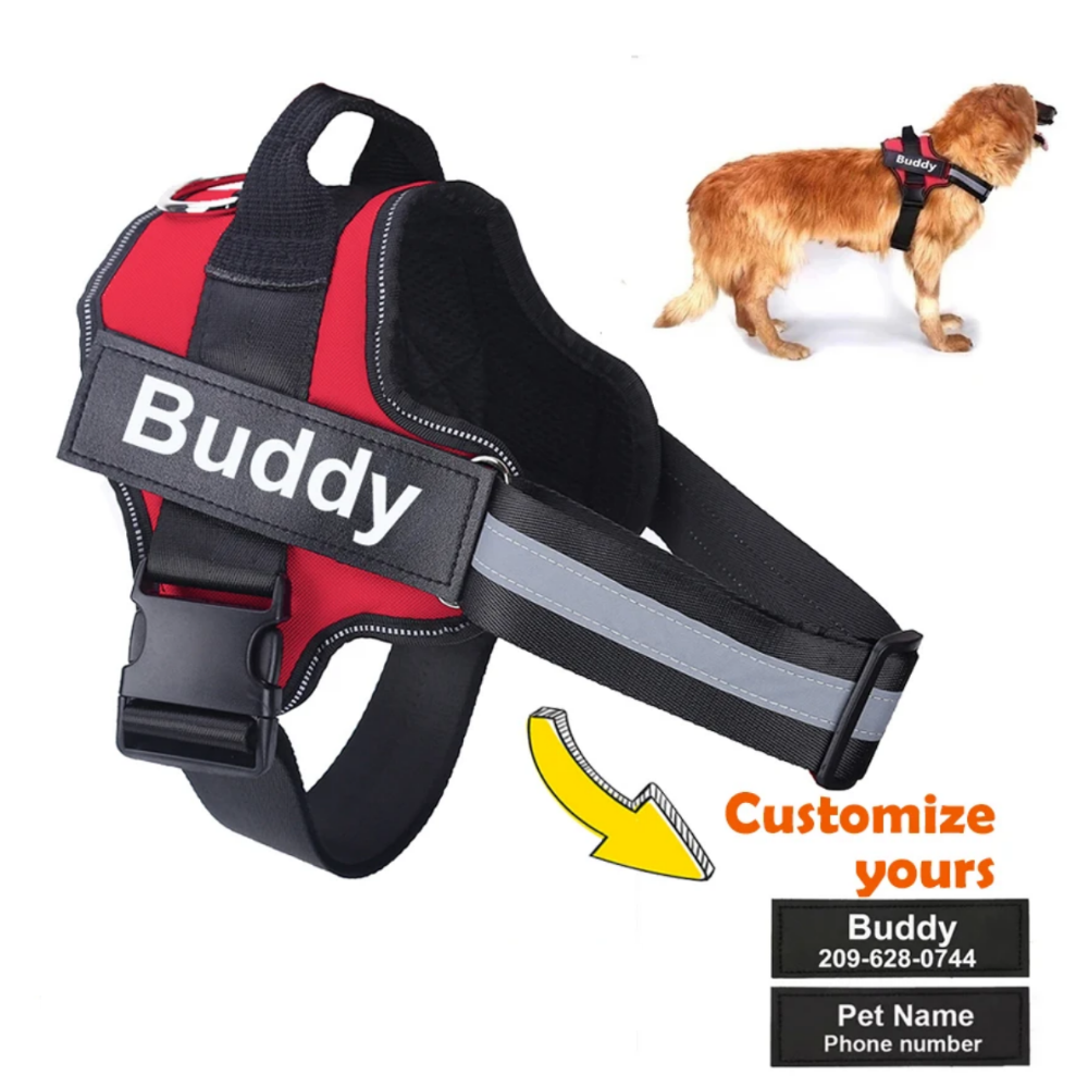 Custom No Pull Dog Harness | Personalized | Stylish Safety Strong